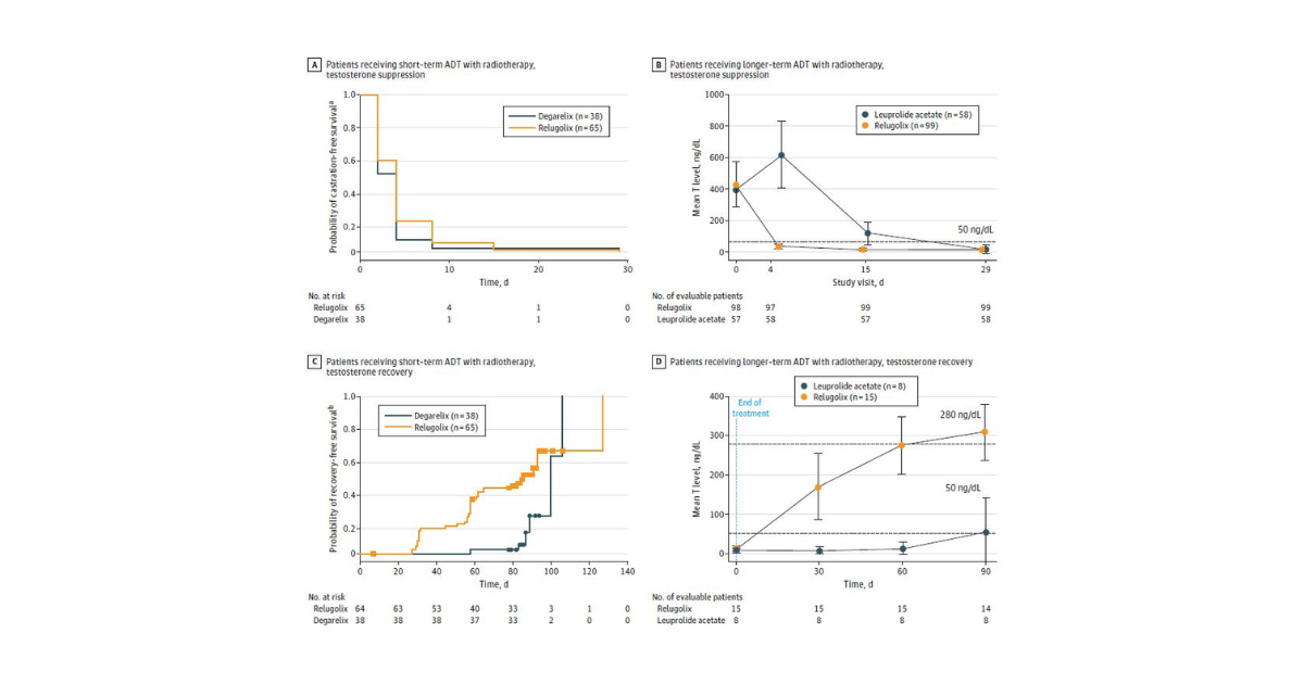 Efficacy and Safety of Radiotherapy Plus Relugolix in Men With ...
